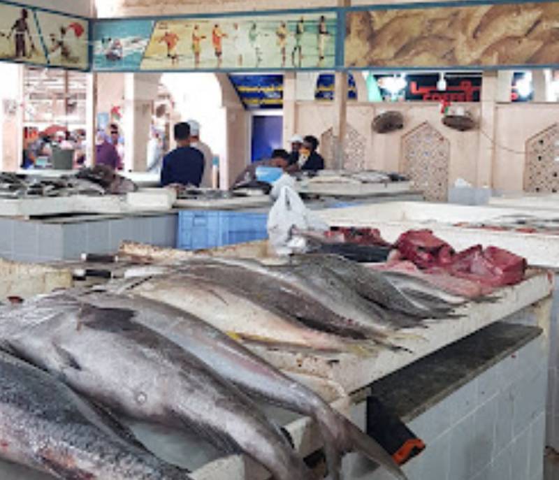 Salalah Fish Market - View Oman | فيو عُمان